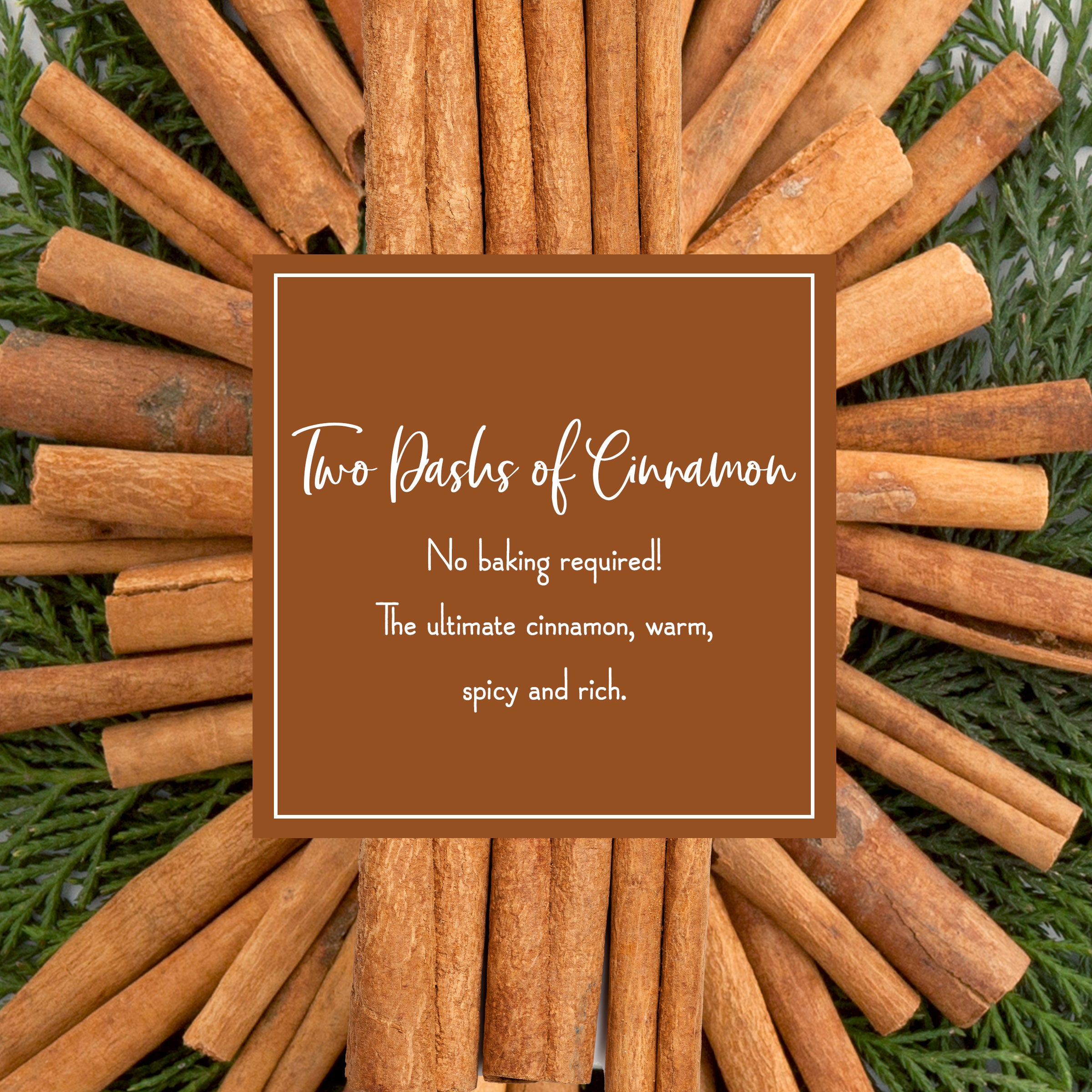 Two Dashes of Cinnamon – Scentsicles