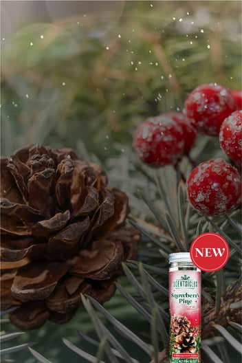 Scentsicles | Scented Christmas Tree Ornaments